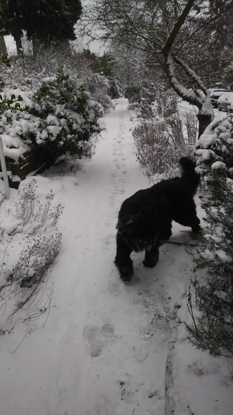Winter Storm Maya – A Perfect Day