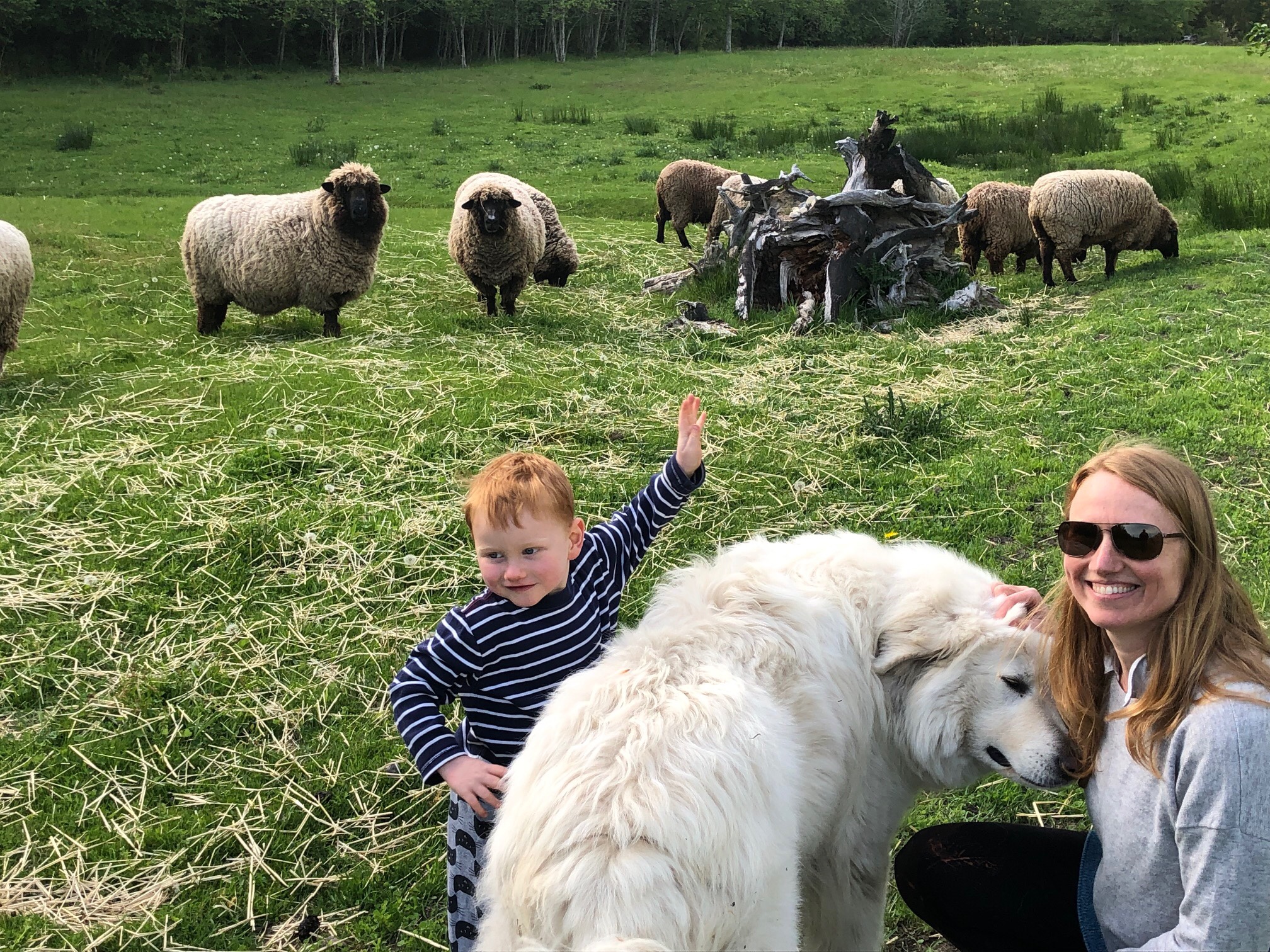 Nora’s Farm – A Perfect Day